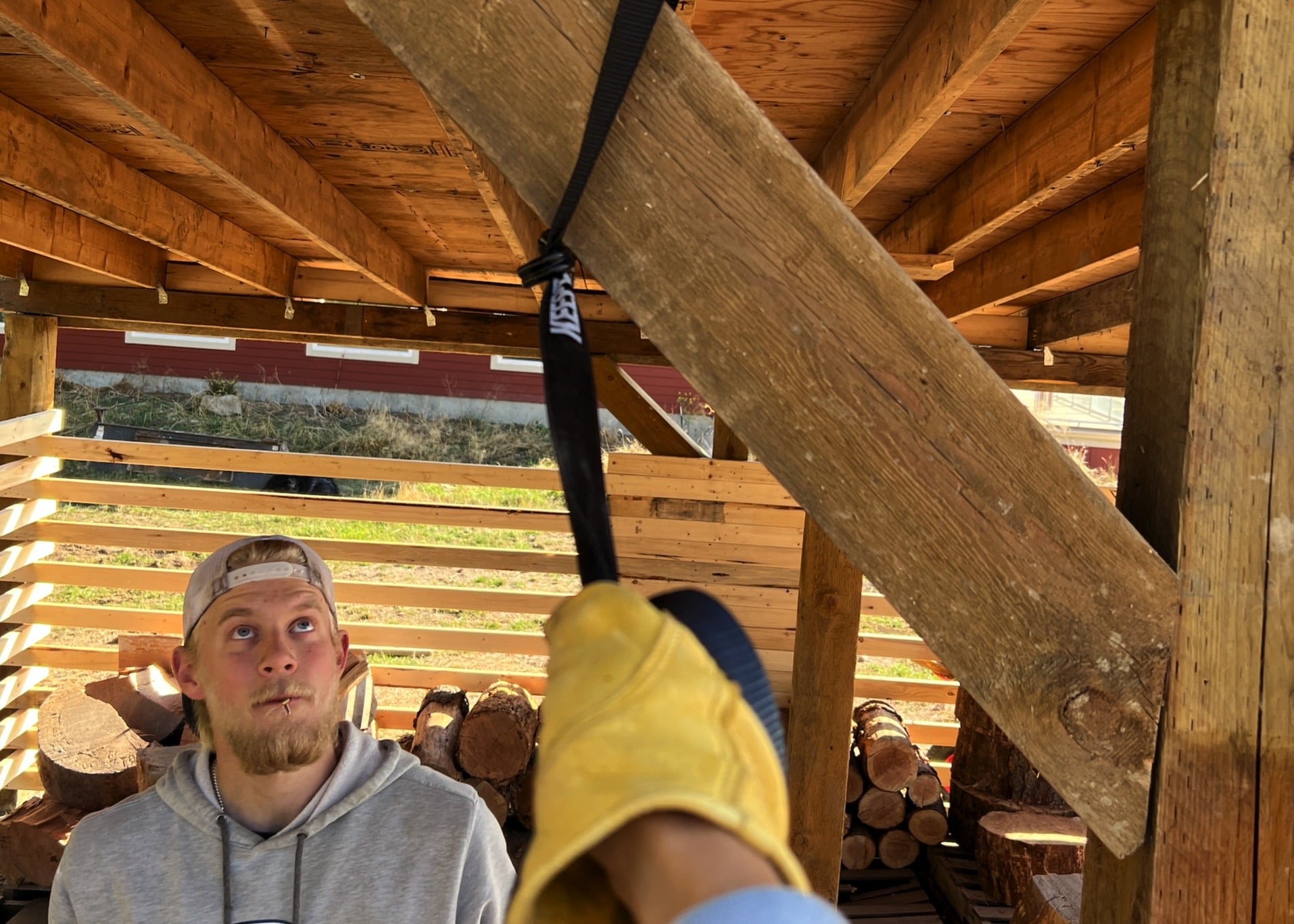 Faith & Permissions - The Wood Shelter - Jini Patel Thompson